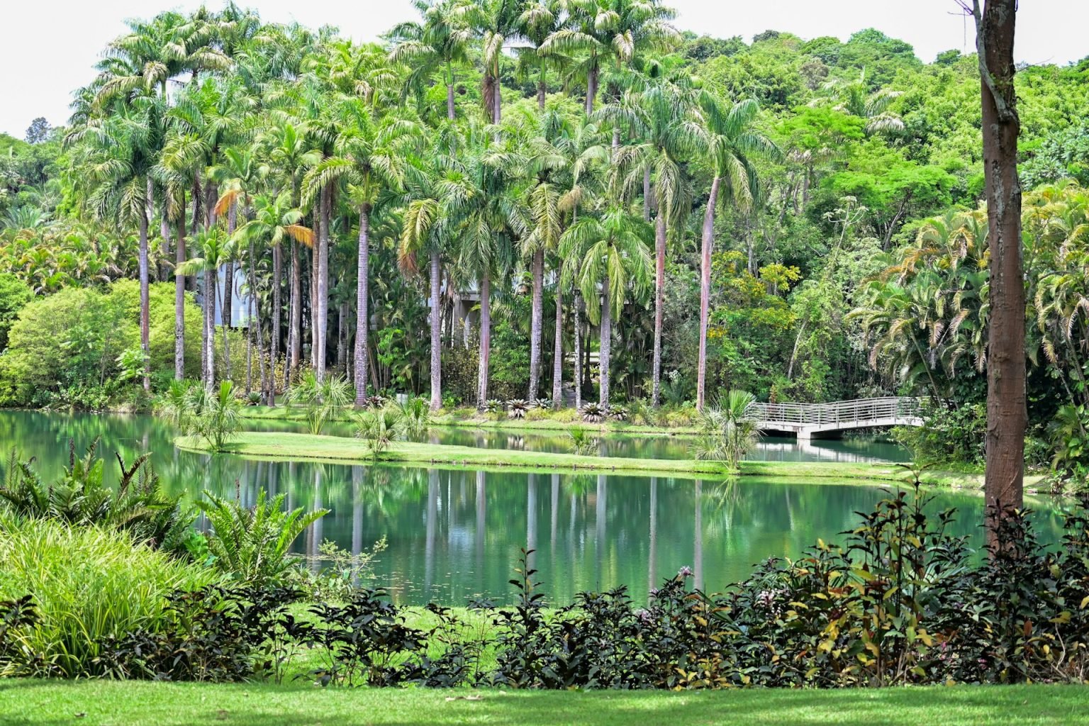 Guia para Visitar Inhotim: O que Você Precisa Saber | Mundo Guia